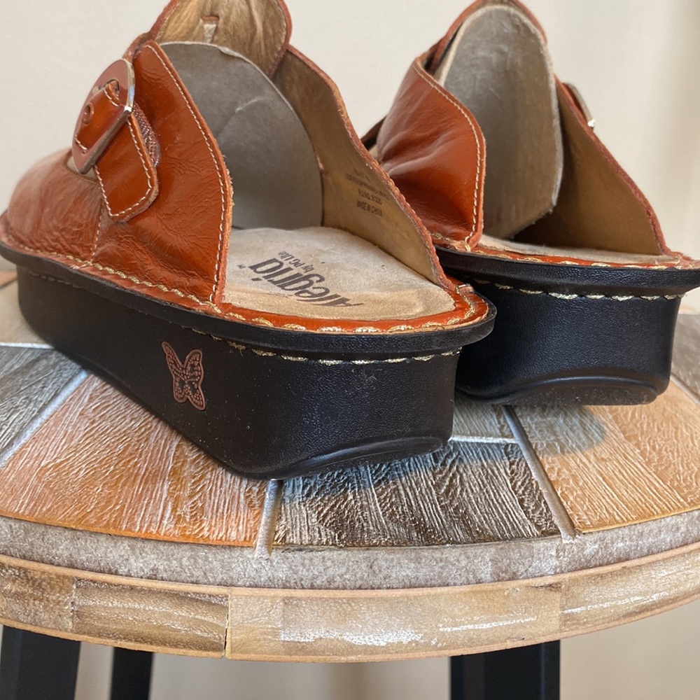 Burnt Orange Algeria Slip On Clogs - Gem